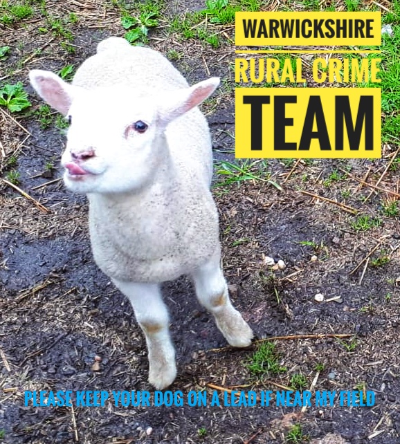 Rural Crime Team Report on Recent Livestock Worrying Incident ...